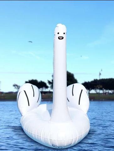 David Shrigley Ridiculous Inflatable Swan Thing Animation – Third ...