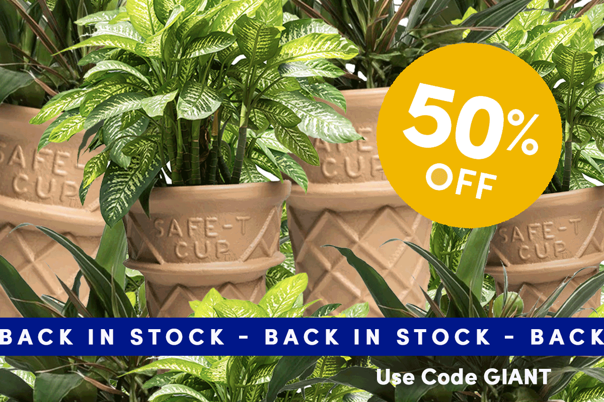 Gift Shop Melbourne - Art Gifts - Artist Gifts | Third Drawer Down